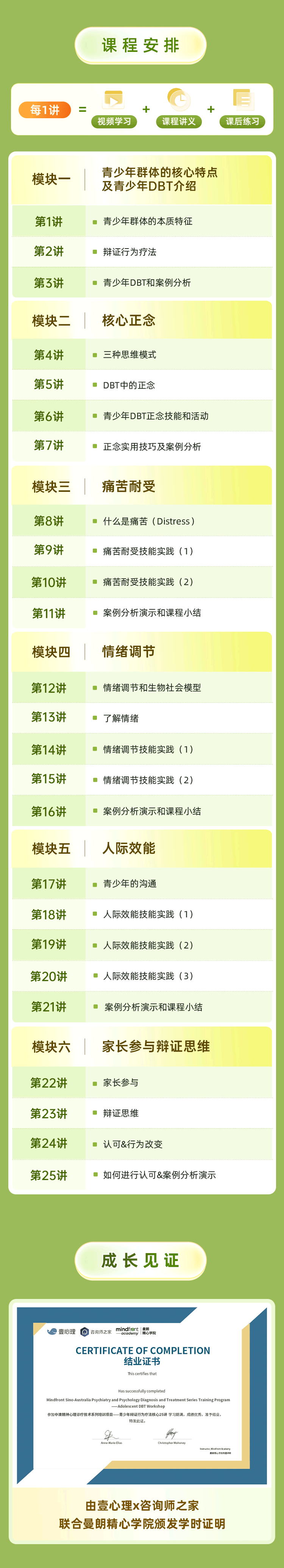 【全英文教学，中文字幕翻译】青少年辩证行为疗法（DBT）核心技能25讲-壹心理学堂